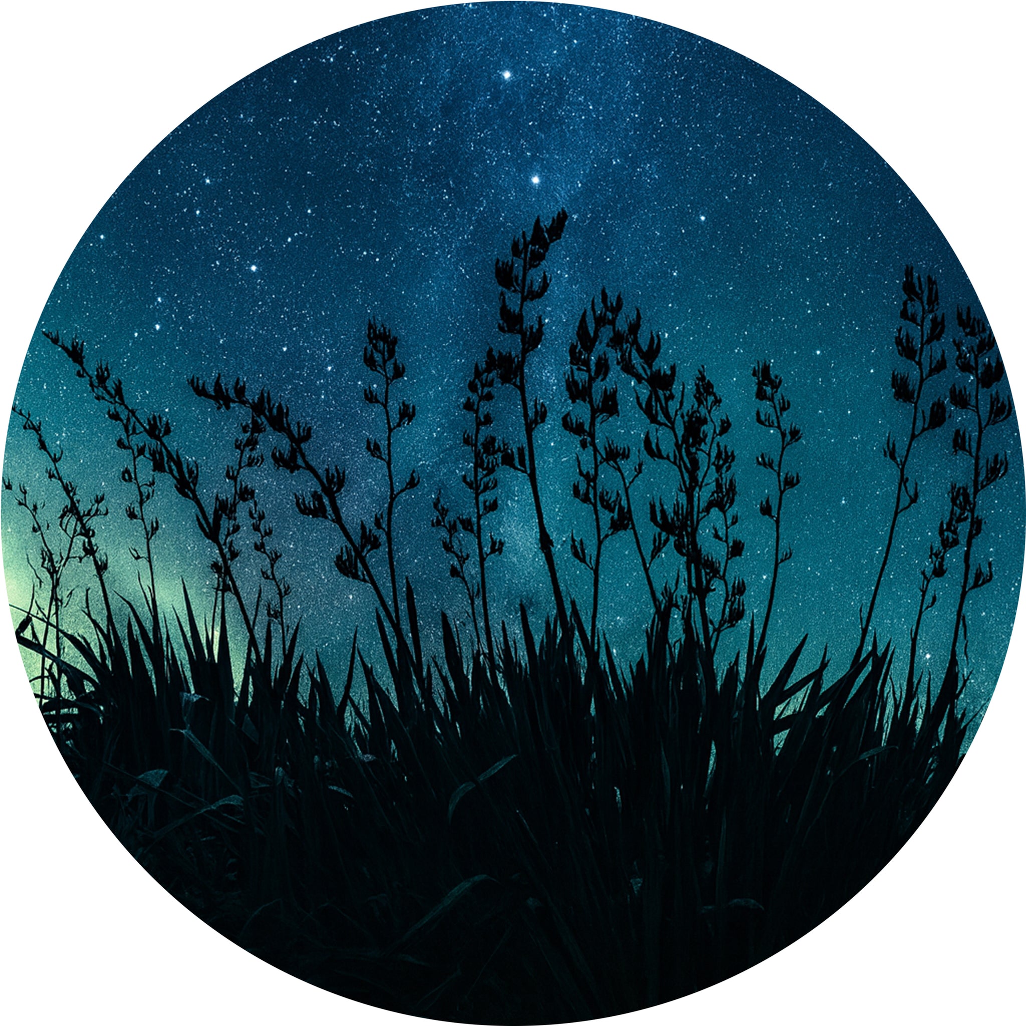 CIRQUE ACT TWO Pattern No HARAKEKE (63077) – Aspiring Walls